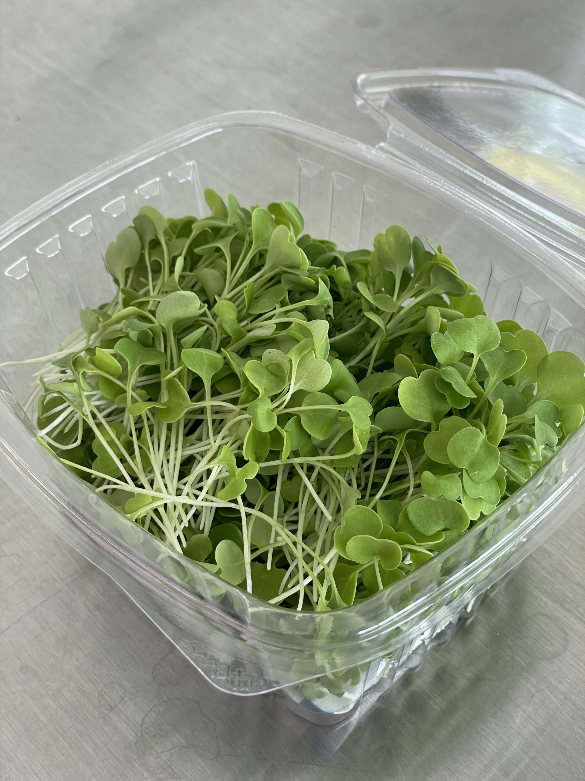 Arugula Microgreens
