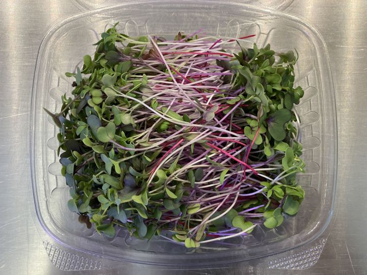 Chef's Blend Microgreens