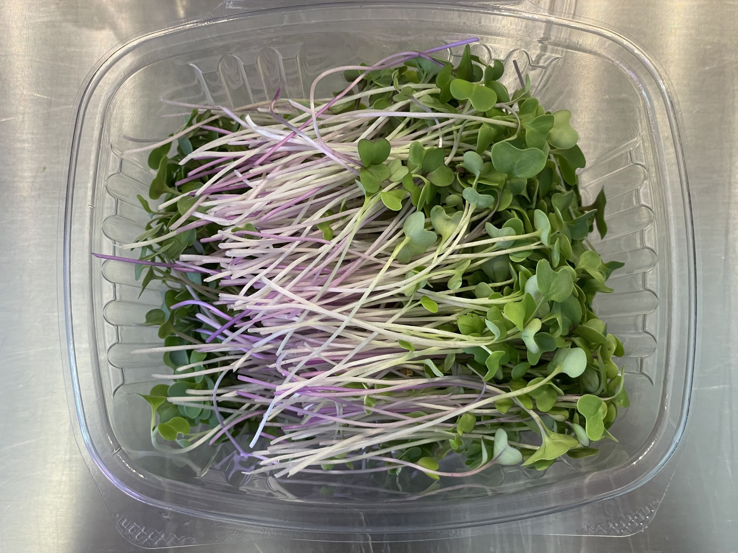 Craft Salad Micro Mix