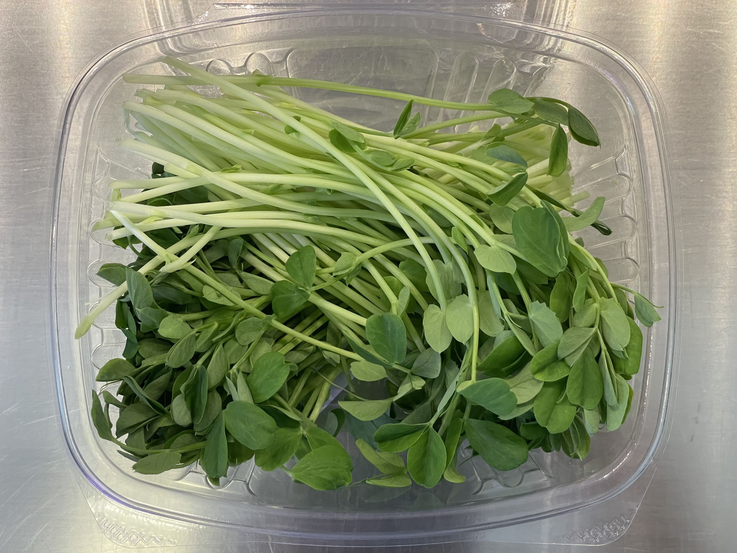 Pea Shoot Microgreens | Speckled